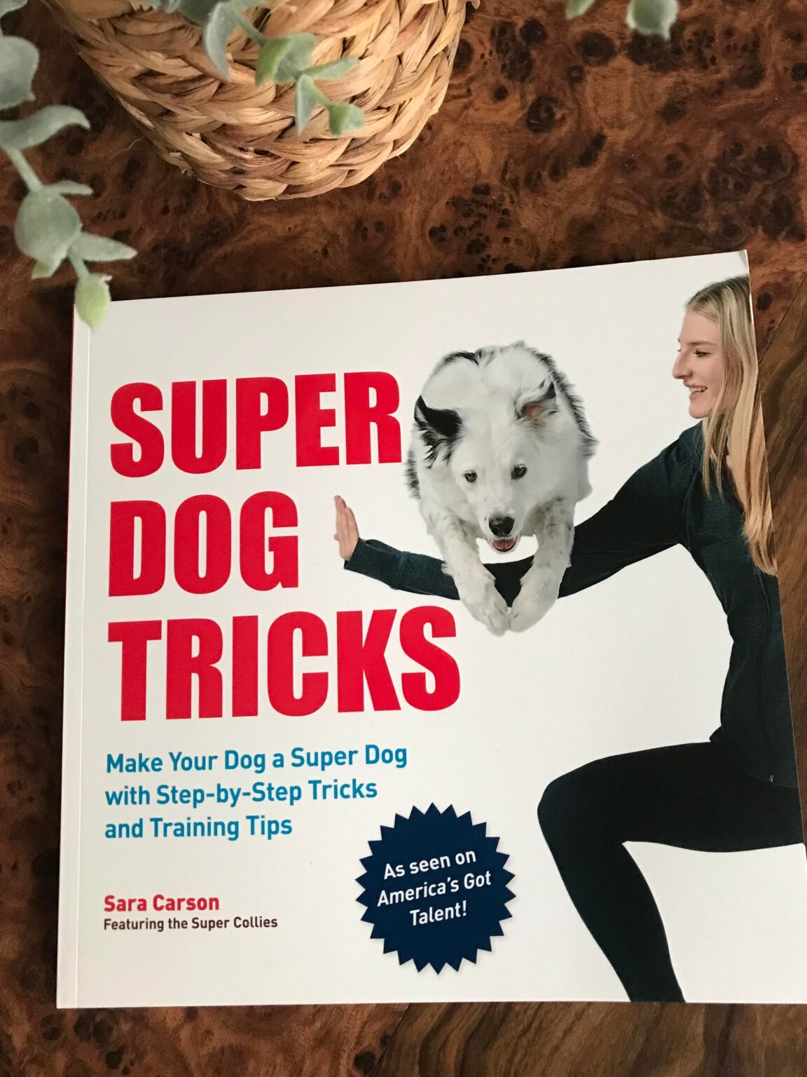 Super Dog Tricks: Make Your Dog A Super Dog with Step-By-Step Tricks ...